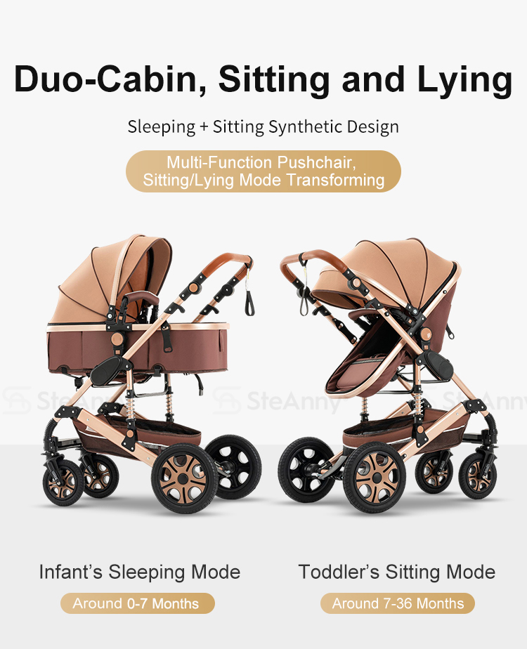 Steanny 5-IN-1 Baby Stroller Travel System Pram With Car Seat and Base ...